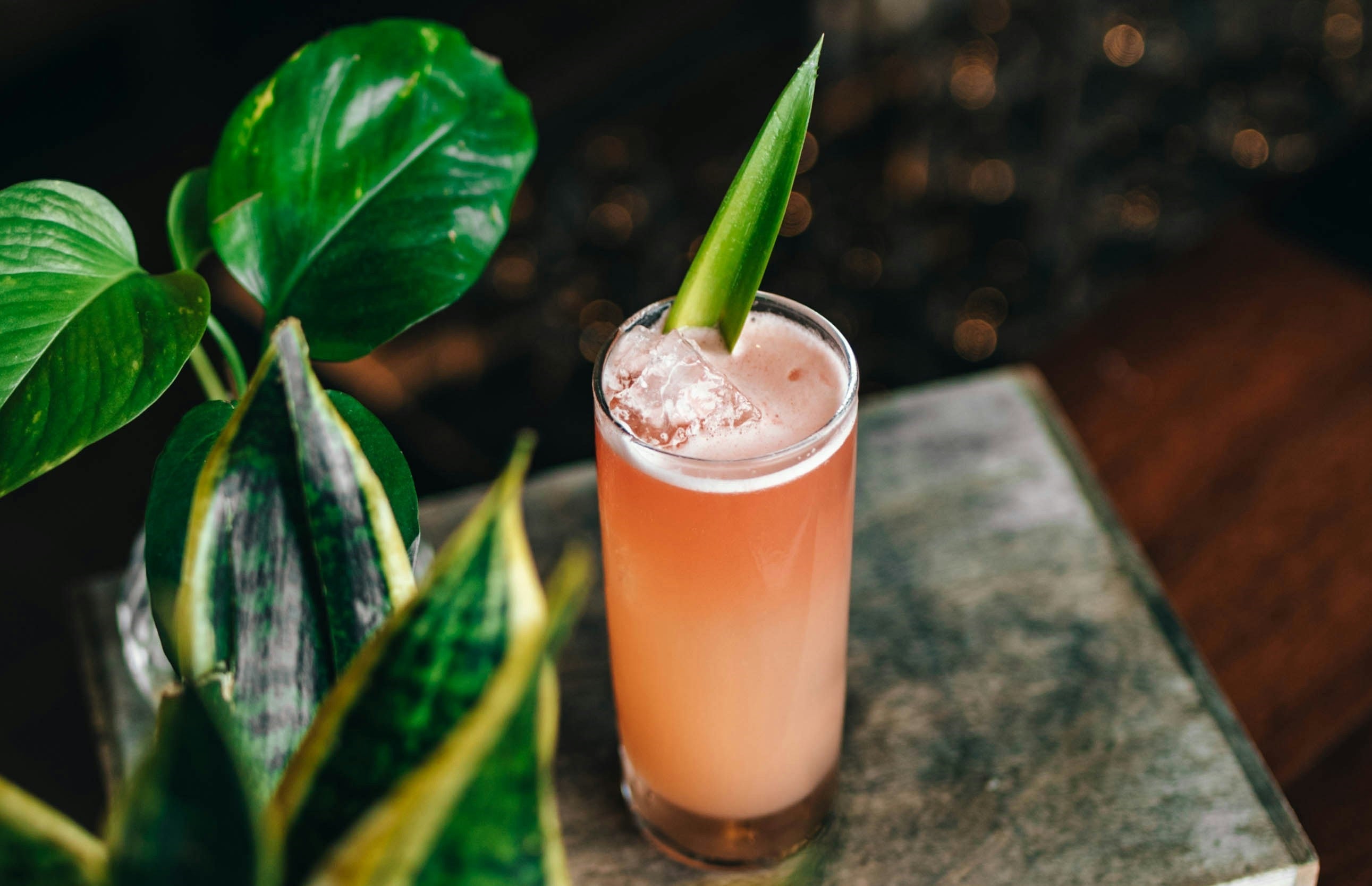 Tropical Delights: Tiki Tea Infusions and Rum Blends – Wildlane Tea